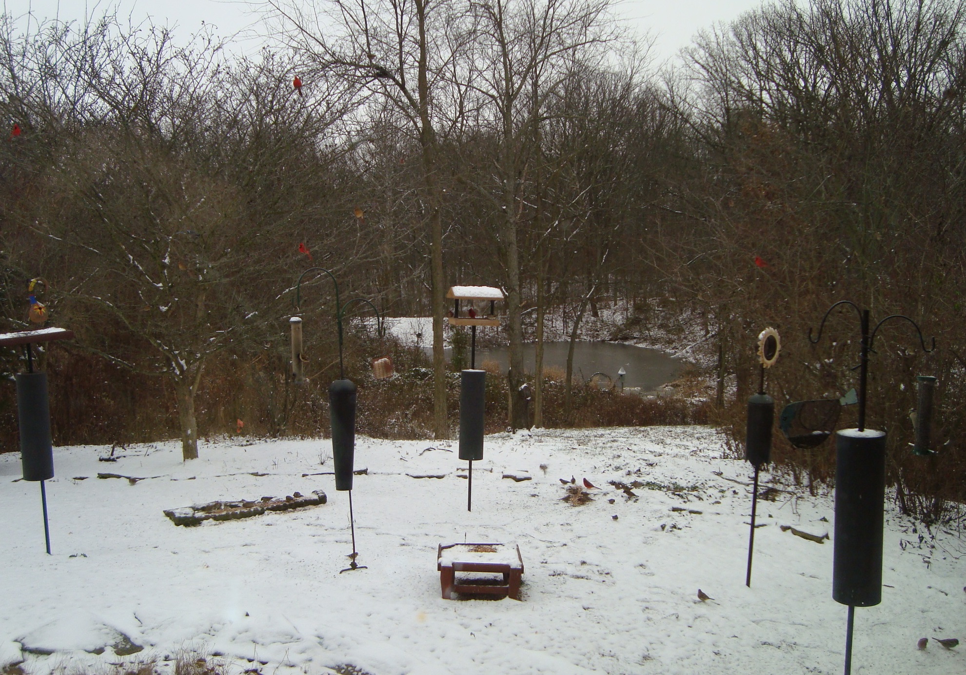 Visitor Center | Ballard Nature Center