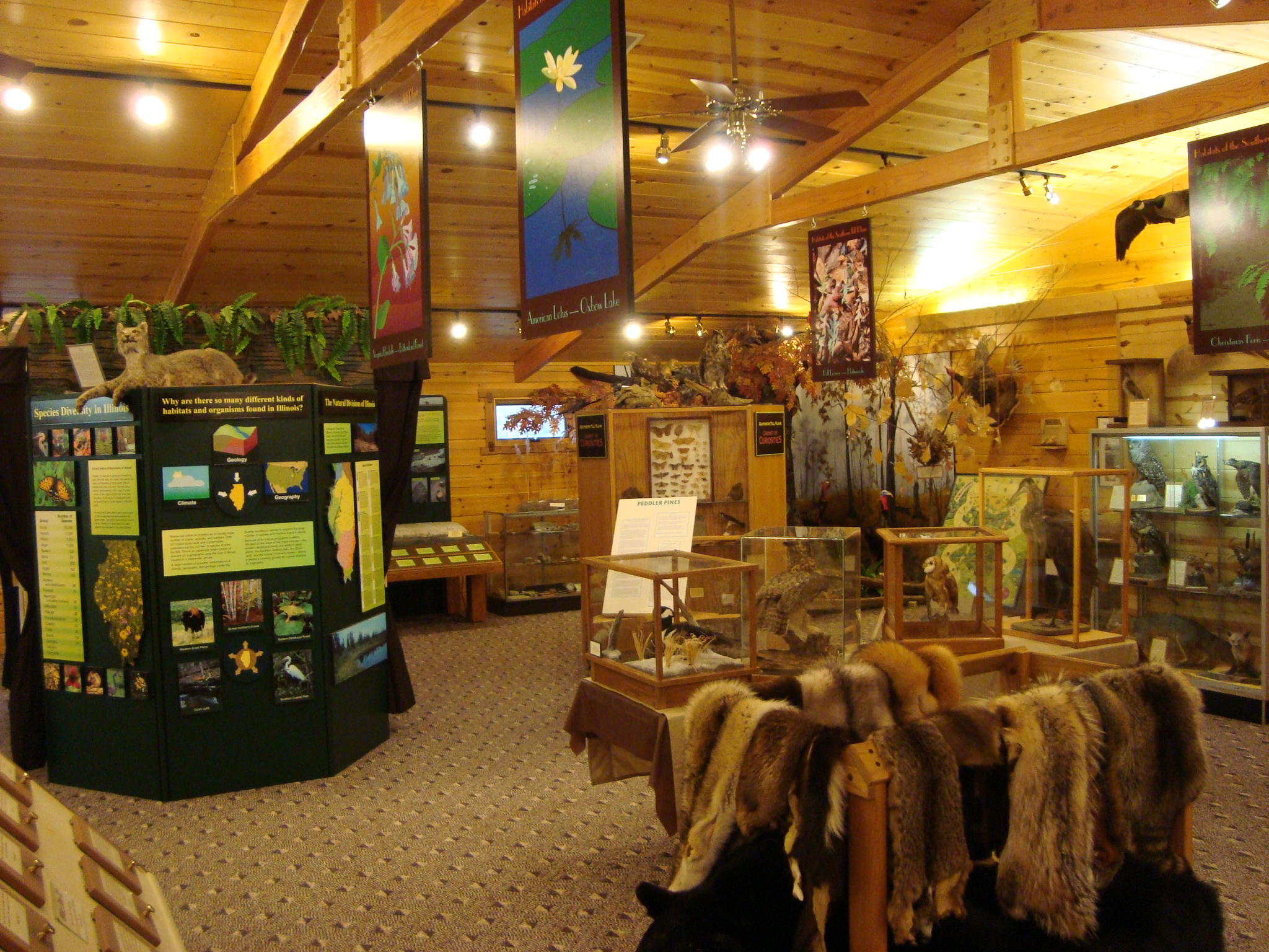 Visitor Center | Ballard Nature Center
